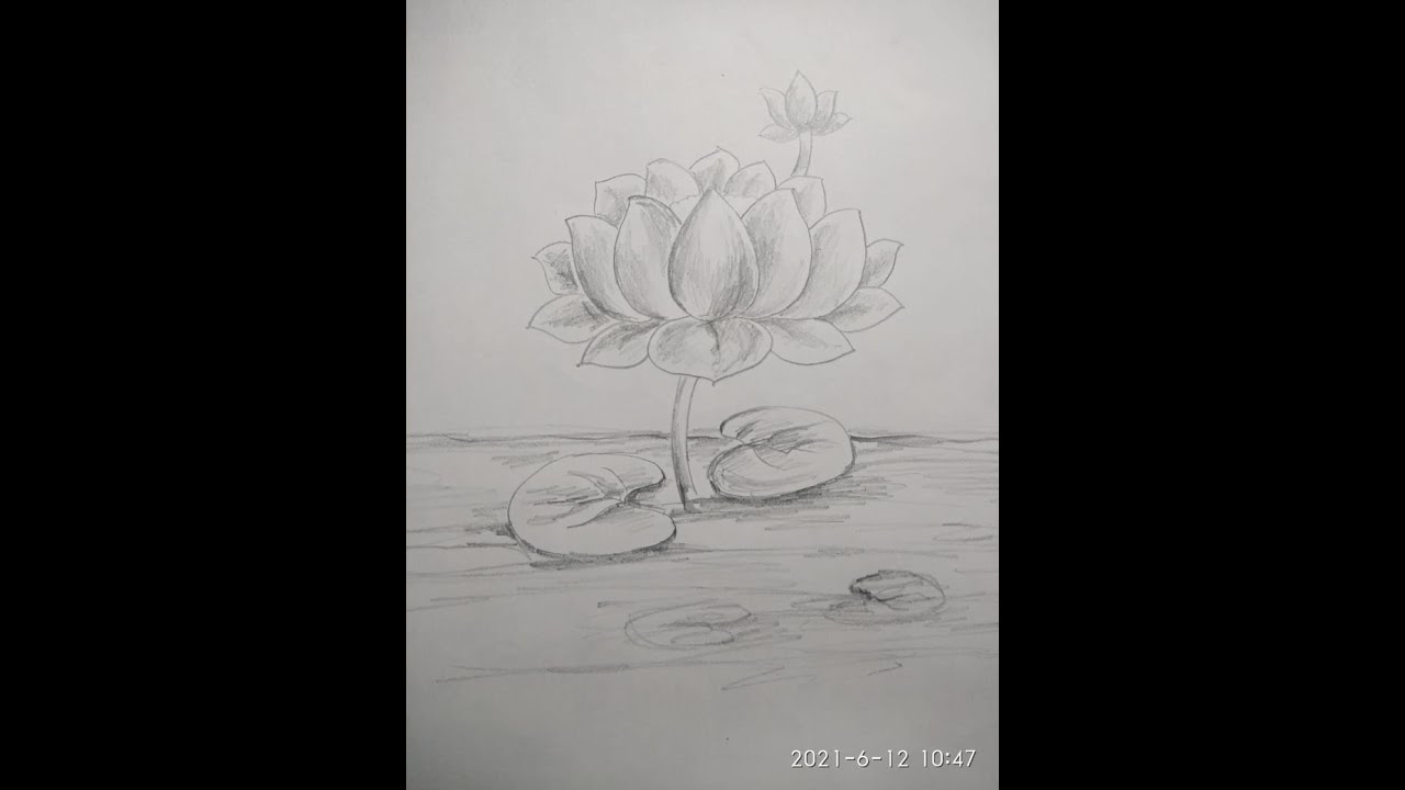How To Make A Lotus Drawing Easy | How To Draw A Lotus Flower Very Easy ...