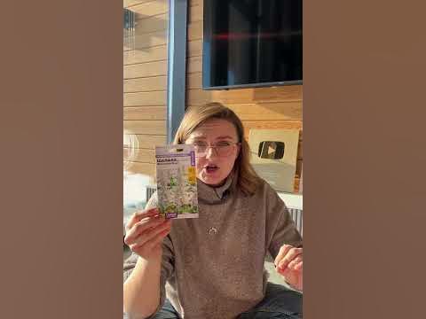 Новинка! Шалфей мучнистый - YouTube