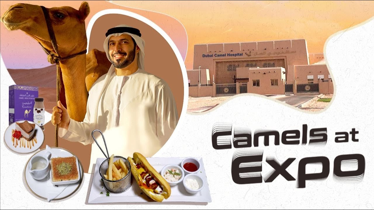 Looking at Eat at Expo: Majlis Cafe and Camelicious - World’s largest ...