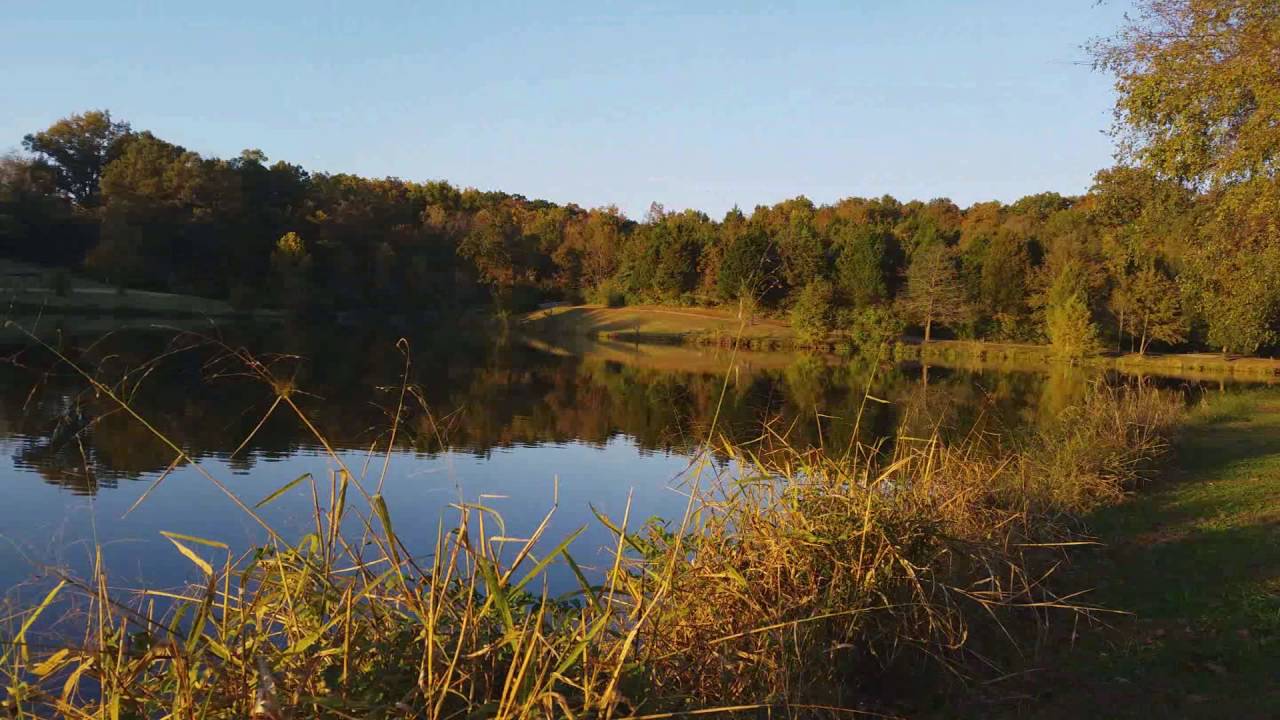 Bee Tree Park 10/24/2016 - YouTube
