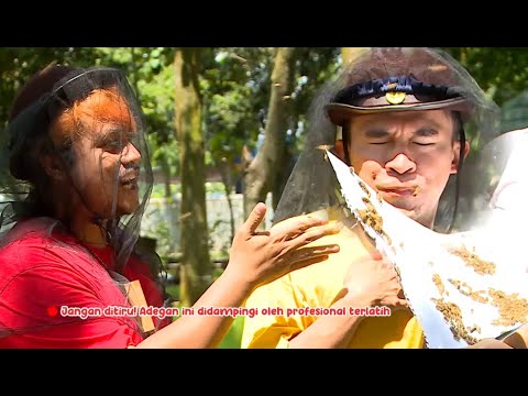 Muka Anwar Dikerubungi Lebah, Dicky Difie & Mang Osa Malah Berantem ...