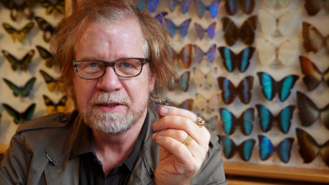 Spotlight: Do Not Touch the Frog - YouTube