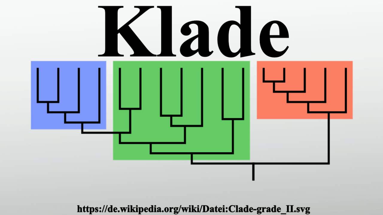 Klade - YouTube