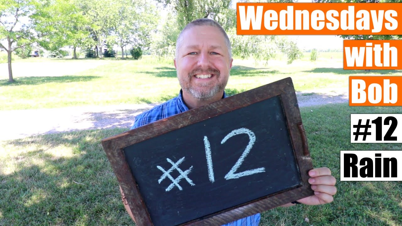 Wednesdays with Bob #12 - Rain - July 15 2020 - YouTube