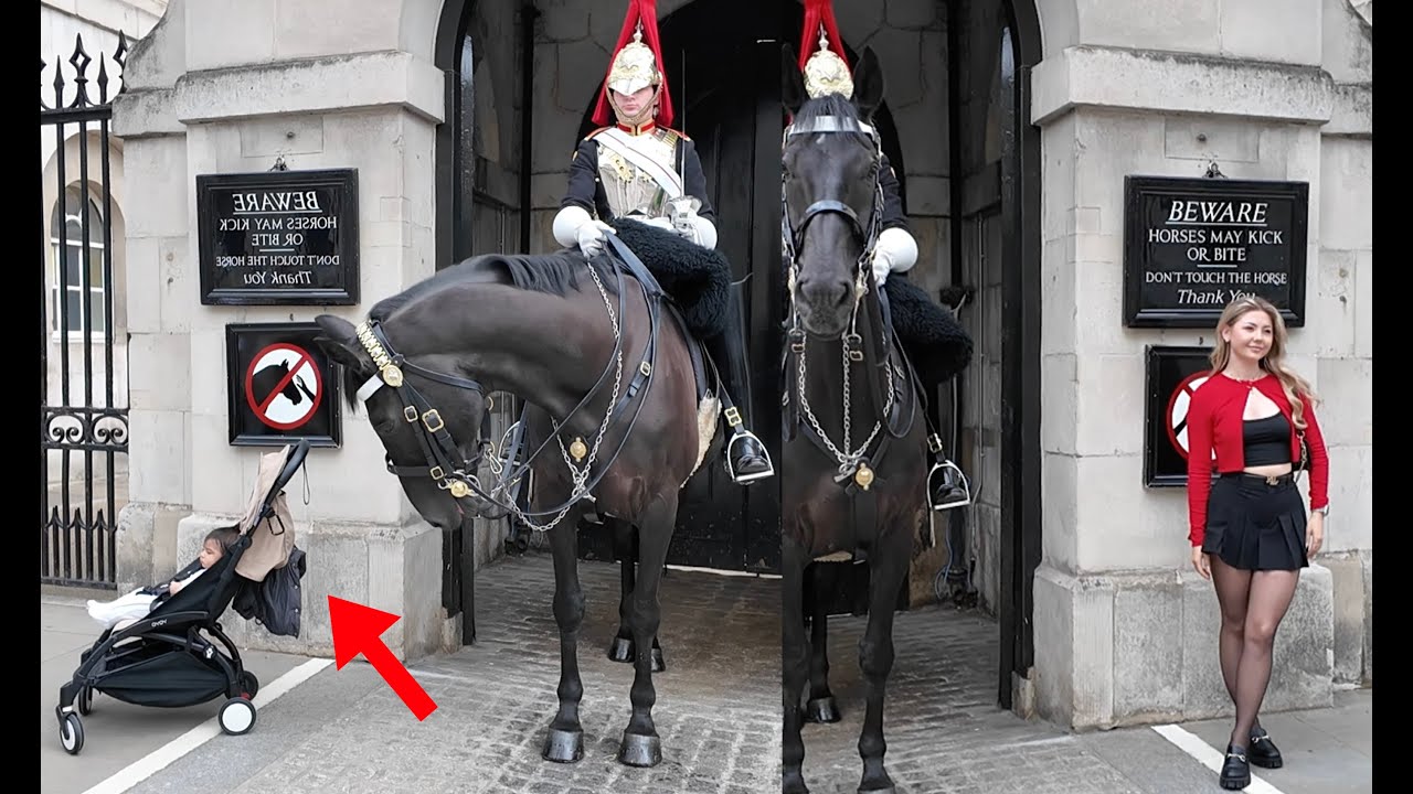 The horse leans in to check who’s sitting in the pram. Behind the White ...