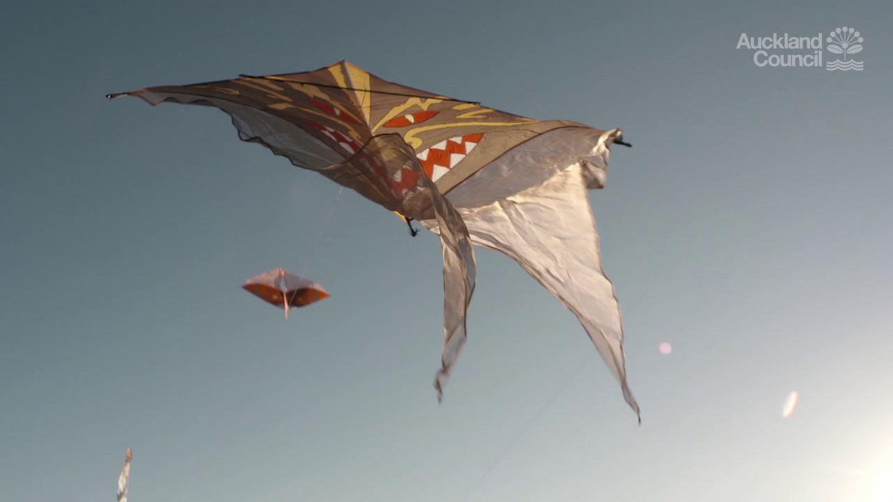 Manu Aute Kite Day 2017 - YouTube