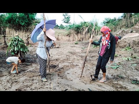 hnub no mus nrog dab laug cog nplej sab kawg li - YouTube