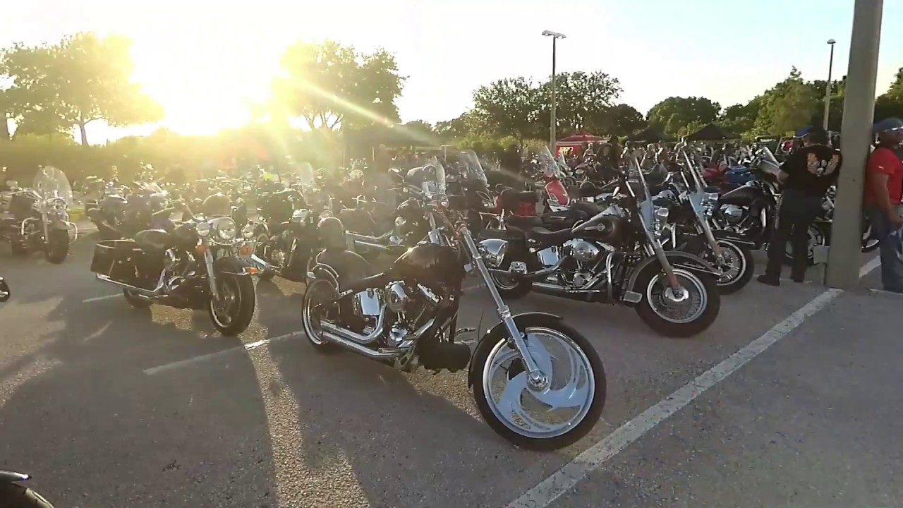 RAT BIKE 2004 HD sportster - YouTube