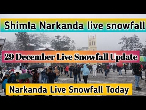 Shimla Narkanda live snowfall | Shimla Live snowfall today|Shimla today ...