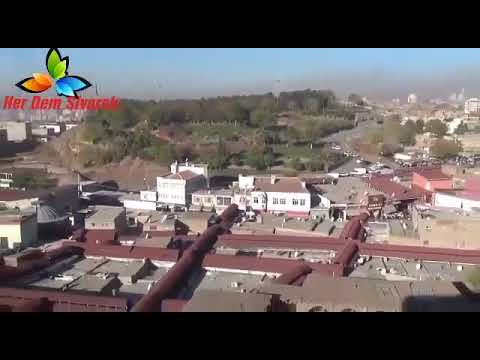 Cemil Türküsü SİVEREK