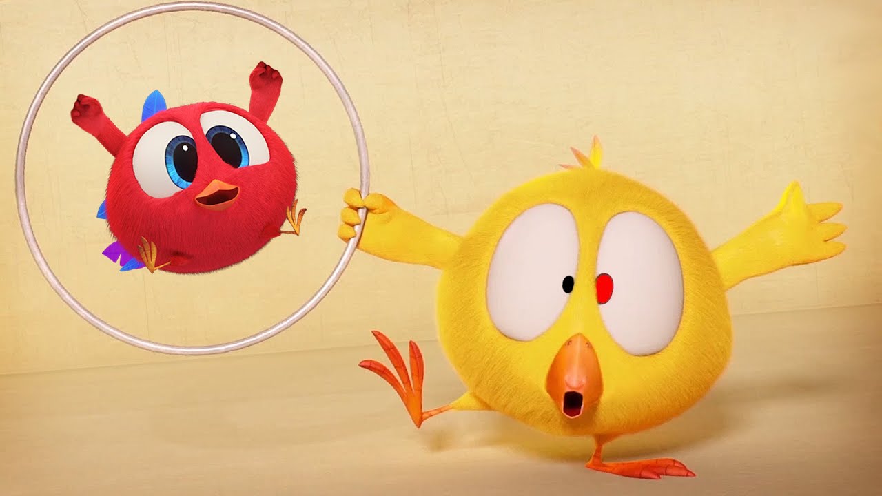 Where's Chicky? Funny Chicky 2022 🤡 THE CIRCUS | Chicky Cartoon in ...