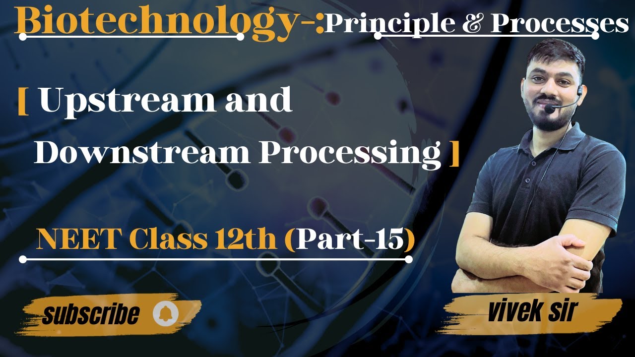 upstream and downstream processing in biotechnology - YouTube