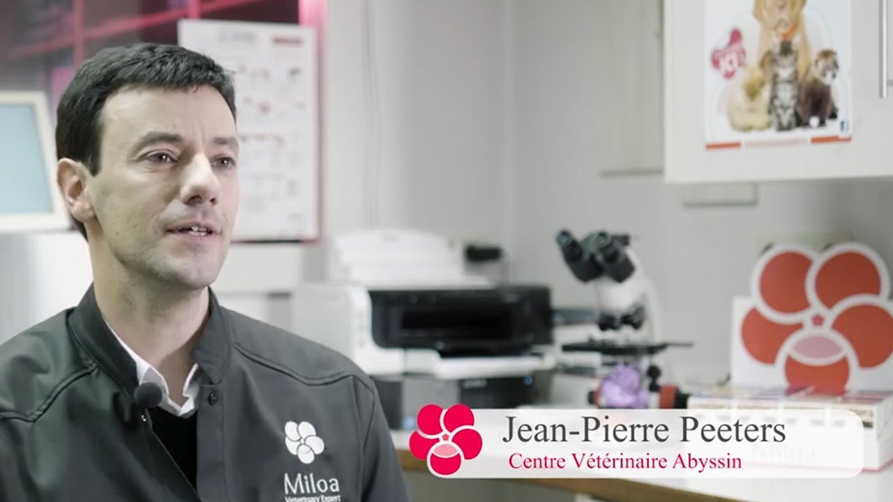 Interview Dr Jean-Pierre Peeters - Mobility Supp™ Miloa (English ...