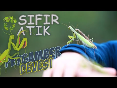 2/6.Bölüm - Sıfır Atık