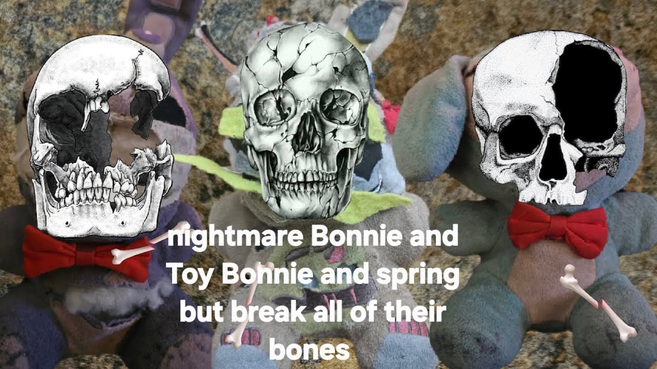 Nightmare Bonnie and Toy Bonnie and spring but break all of their bones ...