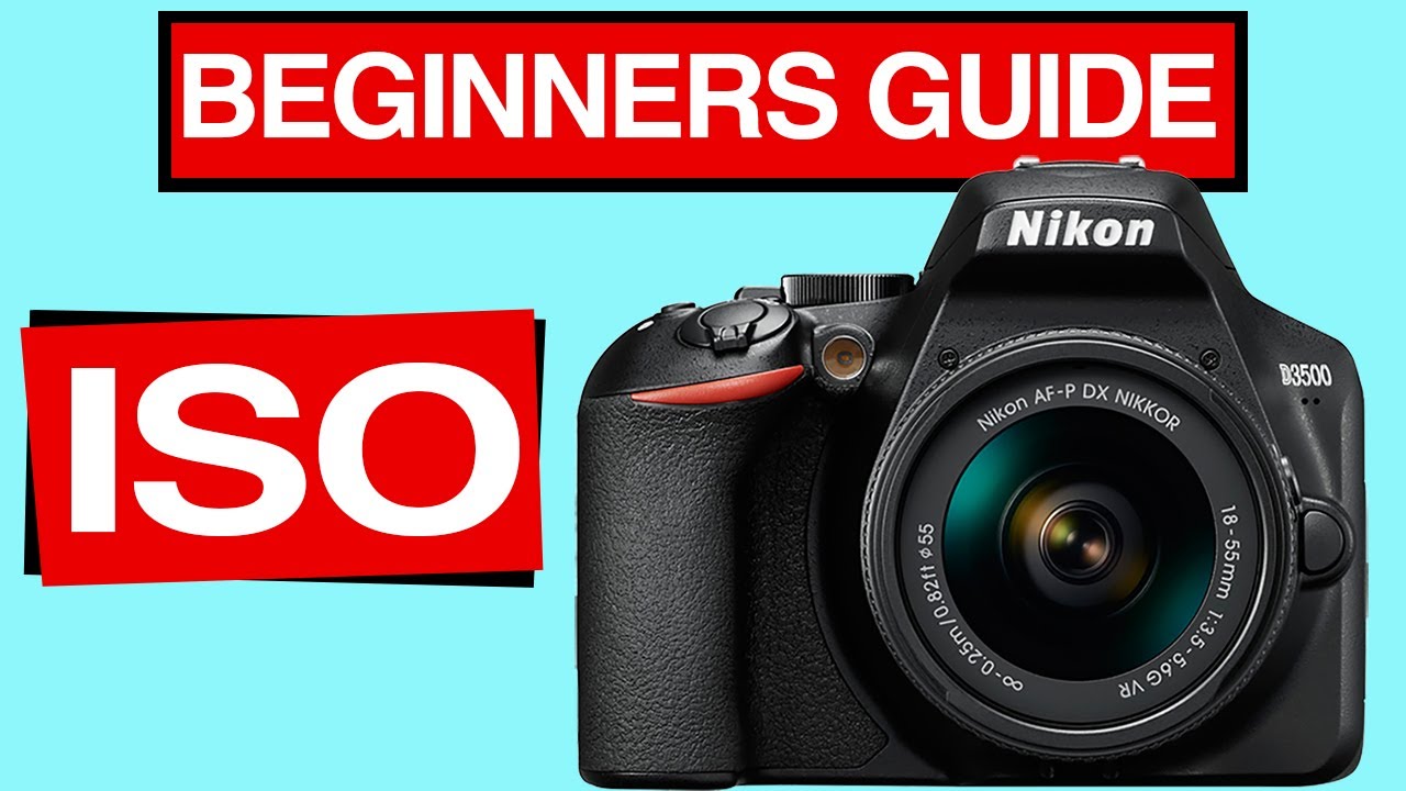 ISO What does it do? A beginners guide to how ISO can improve your ...