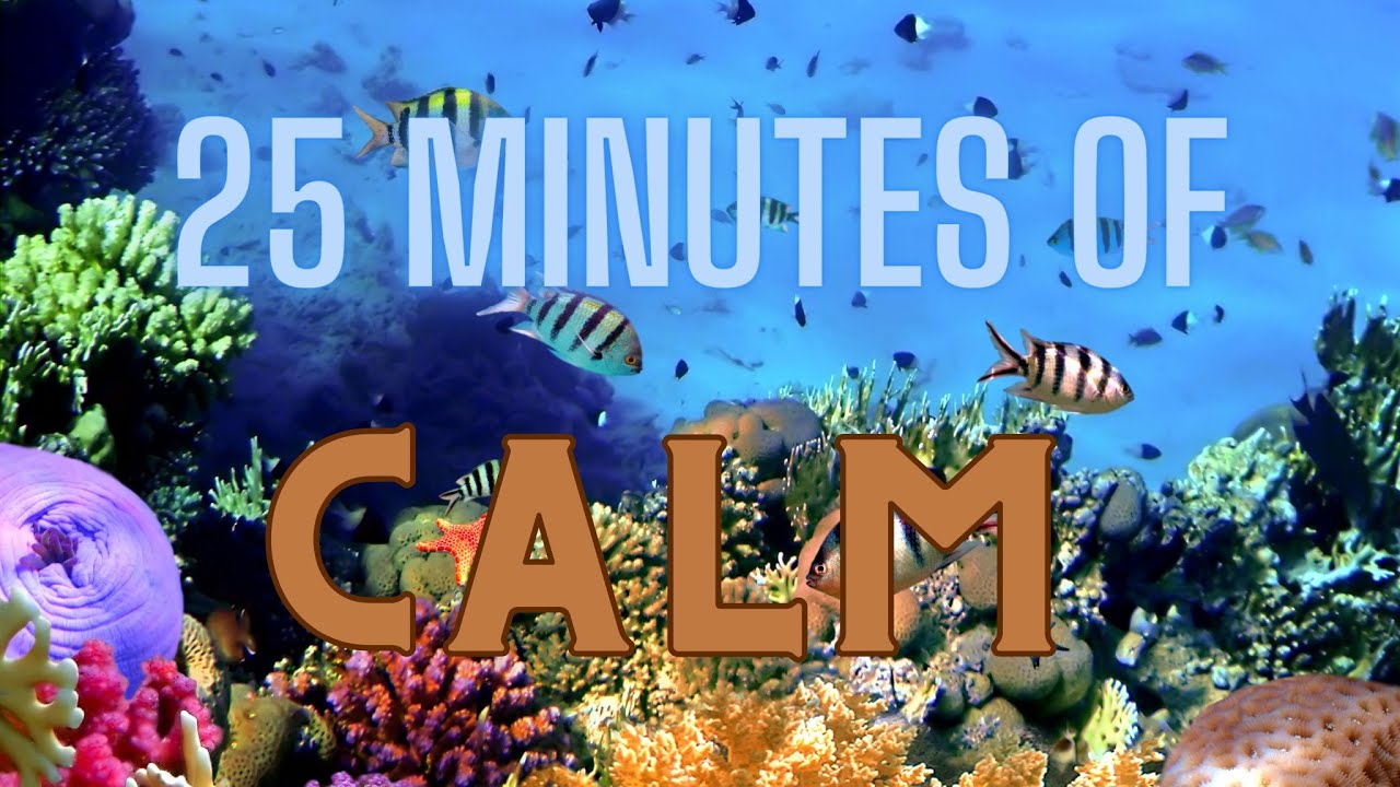 CALM - YouTube