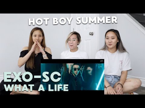 MV REACTION | EXO-SC 세훈&찬열 \