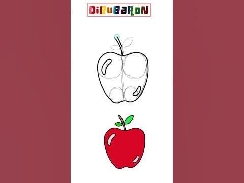 Dibujando una manzana paso a paso | Dibujos fáciles - YouTube