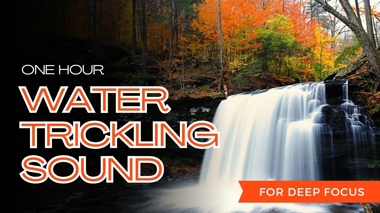 Soothing Water Trickling for Deep Study | Relaxing Study Ambience - YouTube