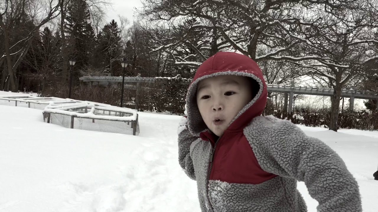 Winter fun with little guy - YouTube