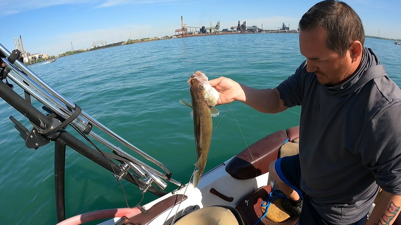 Awesome WALLEYE BITE using BOTTOM BOUNCERS - Detroit river fishing 2022 ...