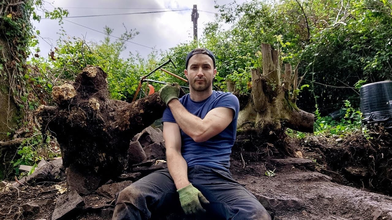 Taking out the.... tree stump + the dig finds so far - Dig Diary # 2 ...