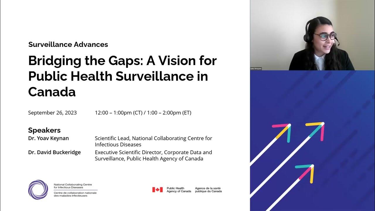 Bridging the Gaps: A Vision for Public Health Surveillance in Canada ...