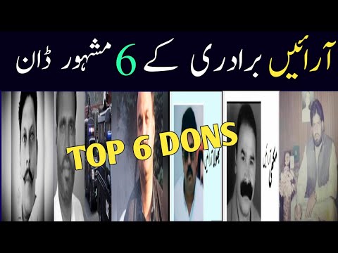 Don of punjab|Don of lahore|Don of pakistan|Don of sialkot|Don of ...