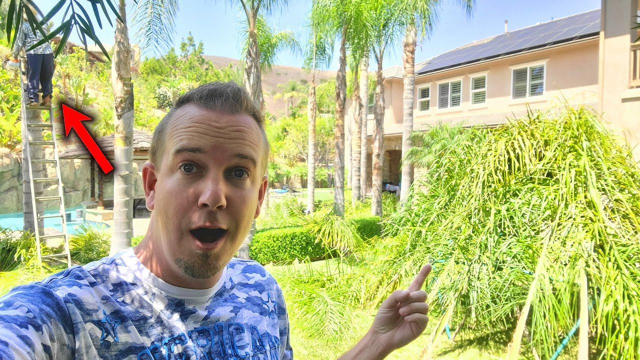 Going to the Mall & We Build a Giant Palm Tree Fort!!! - YouTube