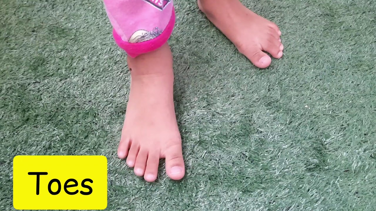 TOES (Poem*Year 6 Textbook) - YouTube
