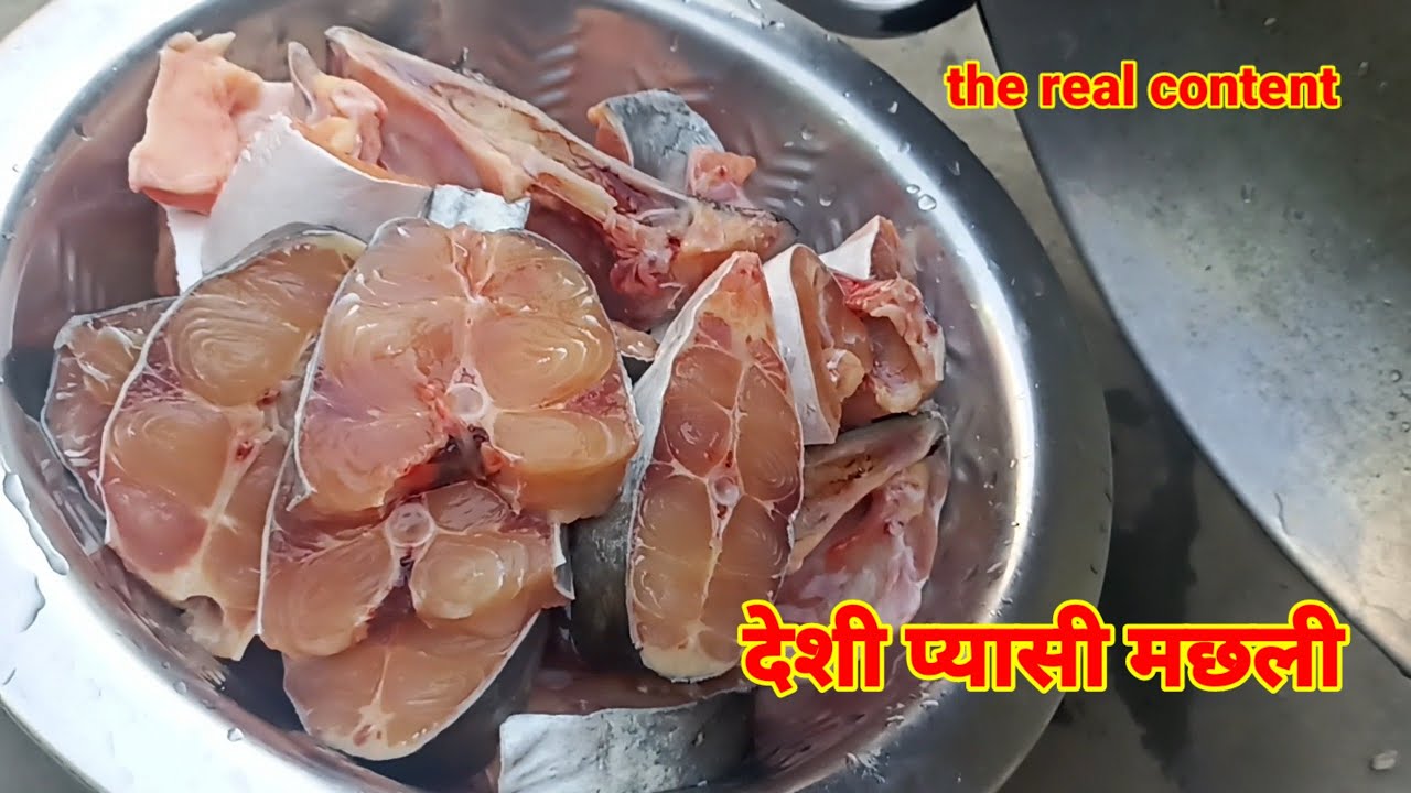 देशी प्यासी मछली || deshi pyasi fish || the real content - YouTube