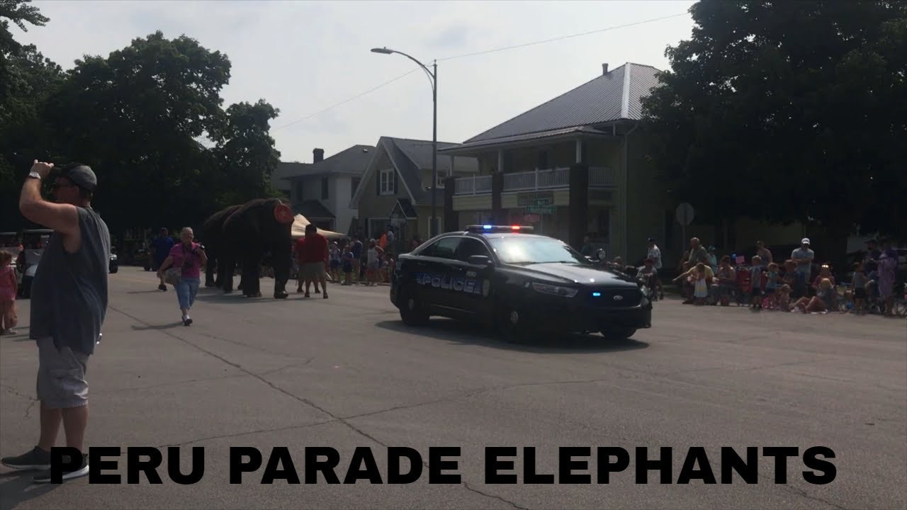 Peru 2021 Circus Parade Elephants - YouTube