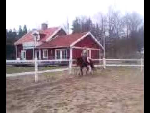 Rambolina Galg