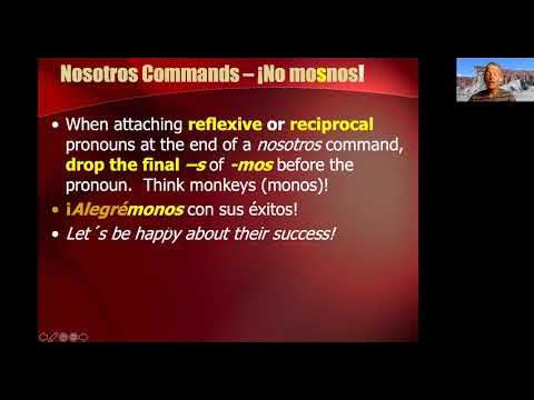 Module 11 nosotros commands - YouTube