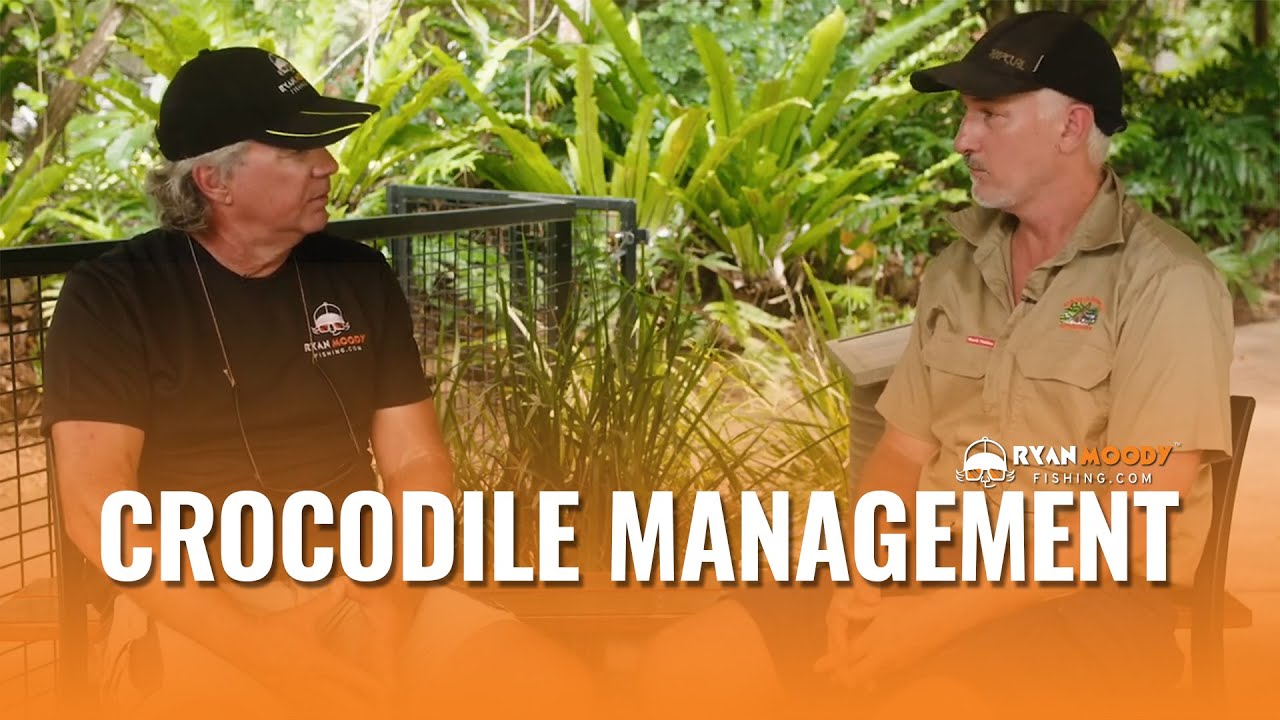Crocodile Management in Australia is simple: to reduce the risk of ...