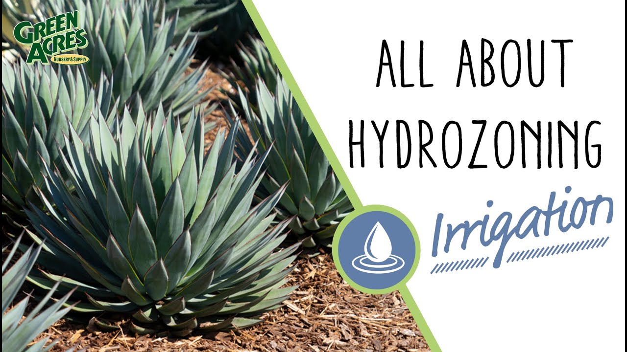 Hydrozoning - YouTube
