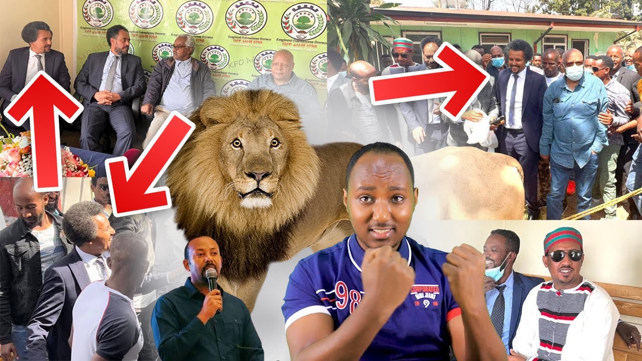 Simannaan Kaleessa Jawaarin Fa'aa Kormi Qalamee Taasifame Bilxiginnatti ...