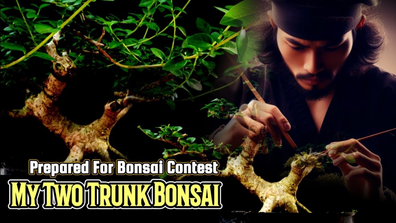 My Two Trunk Bonsai @therisingofroninbonsai #bonsaitree - YouTube