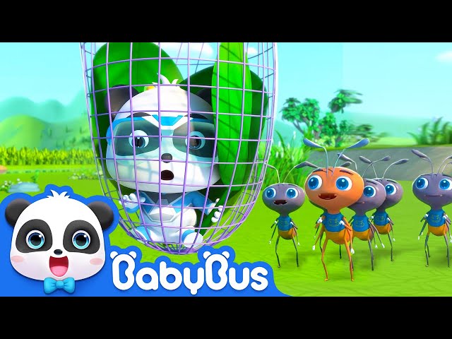 Look for Butterfly's Babies | Super Panda Rescue Team | BabyBus Cartoon ...