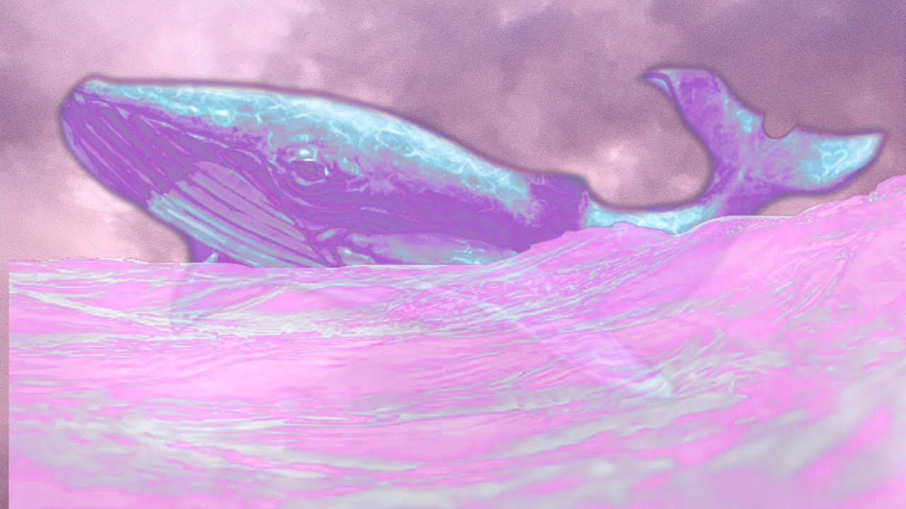 I’m doing the pink whale challenge! - YouTube