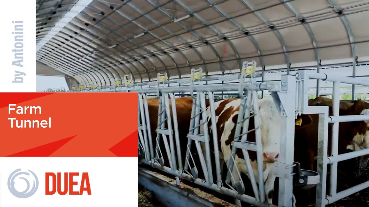 DueA - Video Farm Tunnel - YouTube