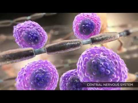 Multiple Sclerosis, the Role of B-Cells [HD] - YouTube