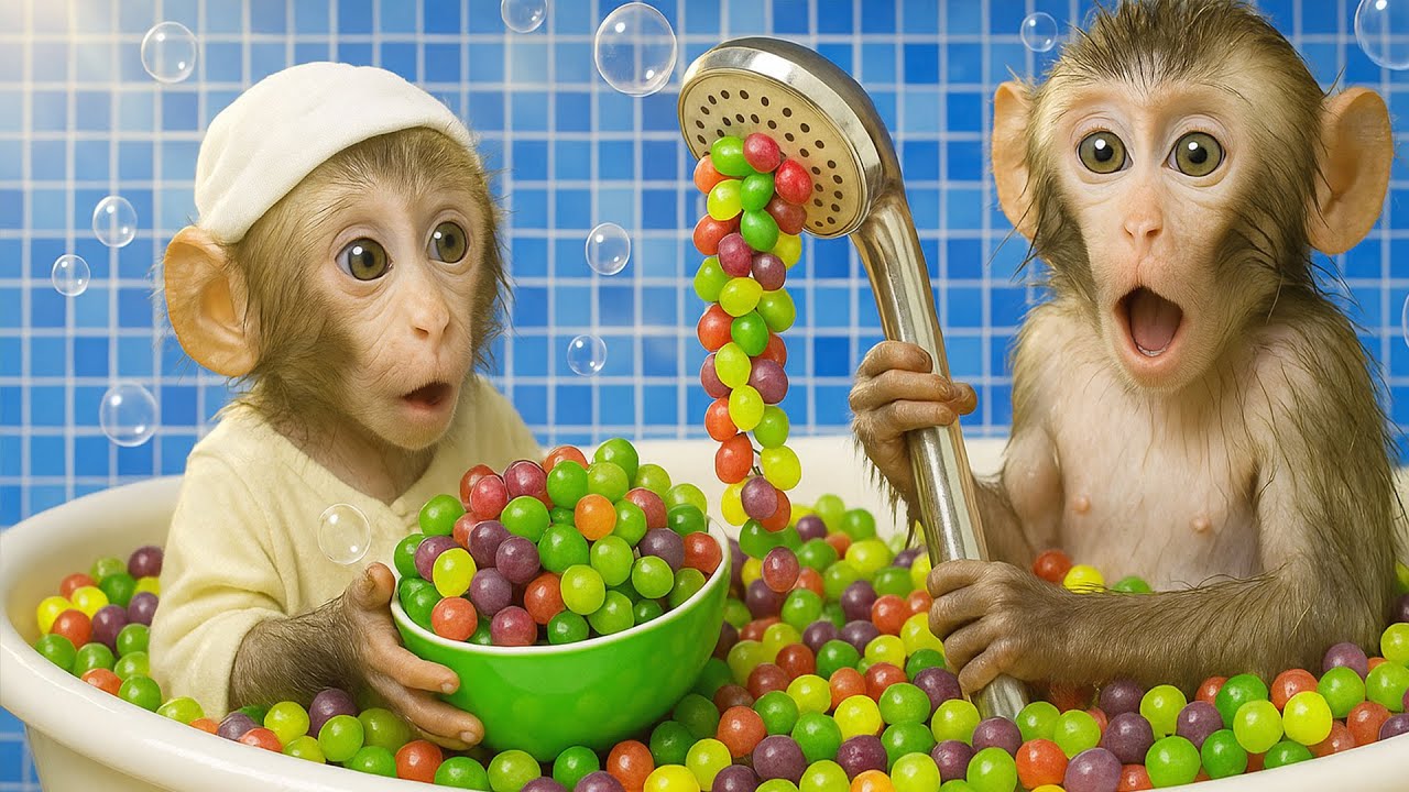 Mono BeBe experimenta un baño en una tina de frutas y come con su ...