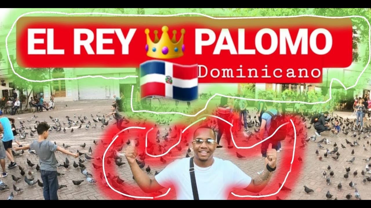 QUÉ HACER EN SANTO DOMINGO Rep. Dom. | SOY EL REY PALOMO DOMINICANO ...