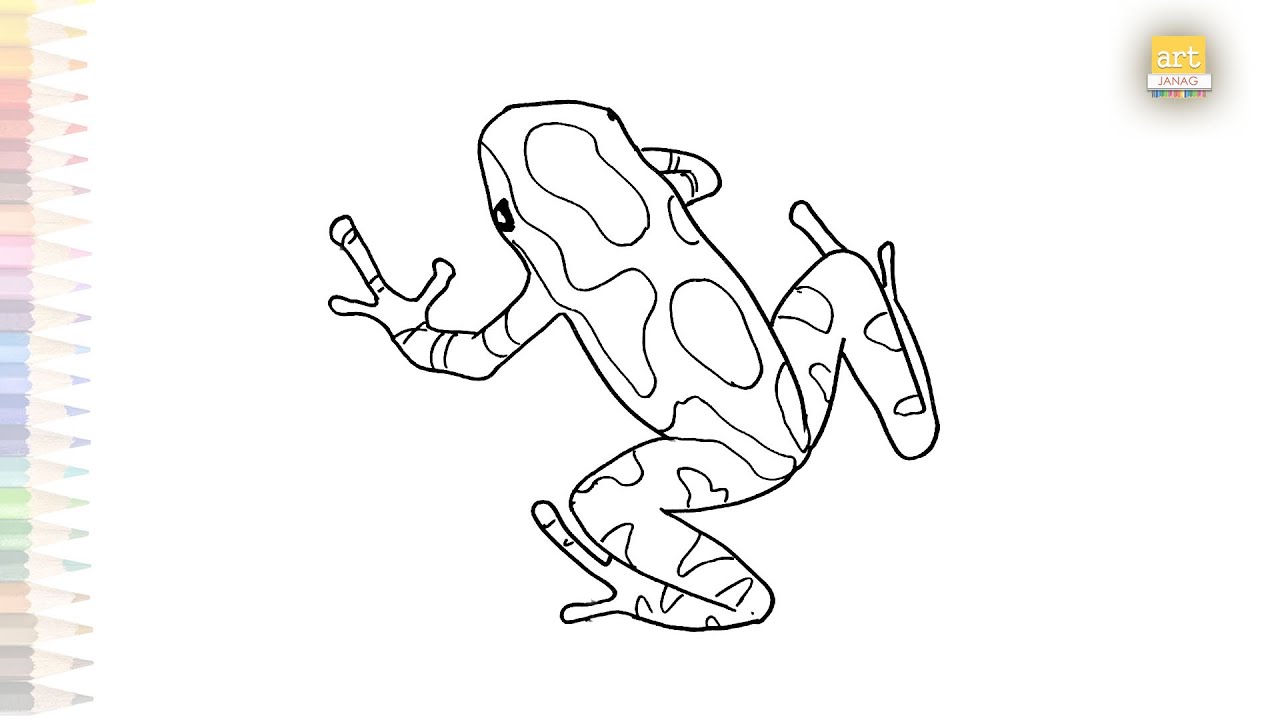 Tree green frog drawing easy | Frog drawing tutorials | How to draw ...