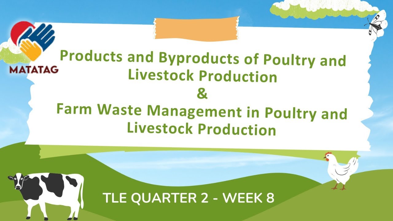 TLE 7 Q2 Week 8 -Products and Byproducts of Poultry and Livestock ...