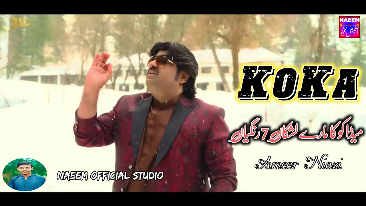 Meda Koka |Singer Ameer Niazi | Latest Saraiki New Song 2022 & Punjabi ...
