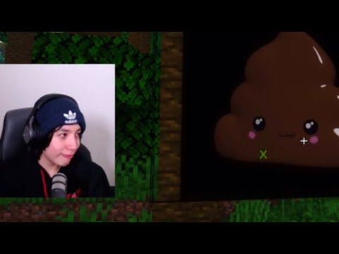 Quackity was trolled by a minecraft mob…