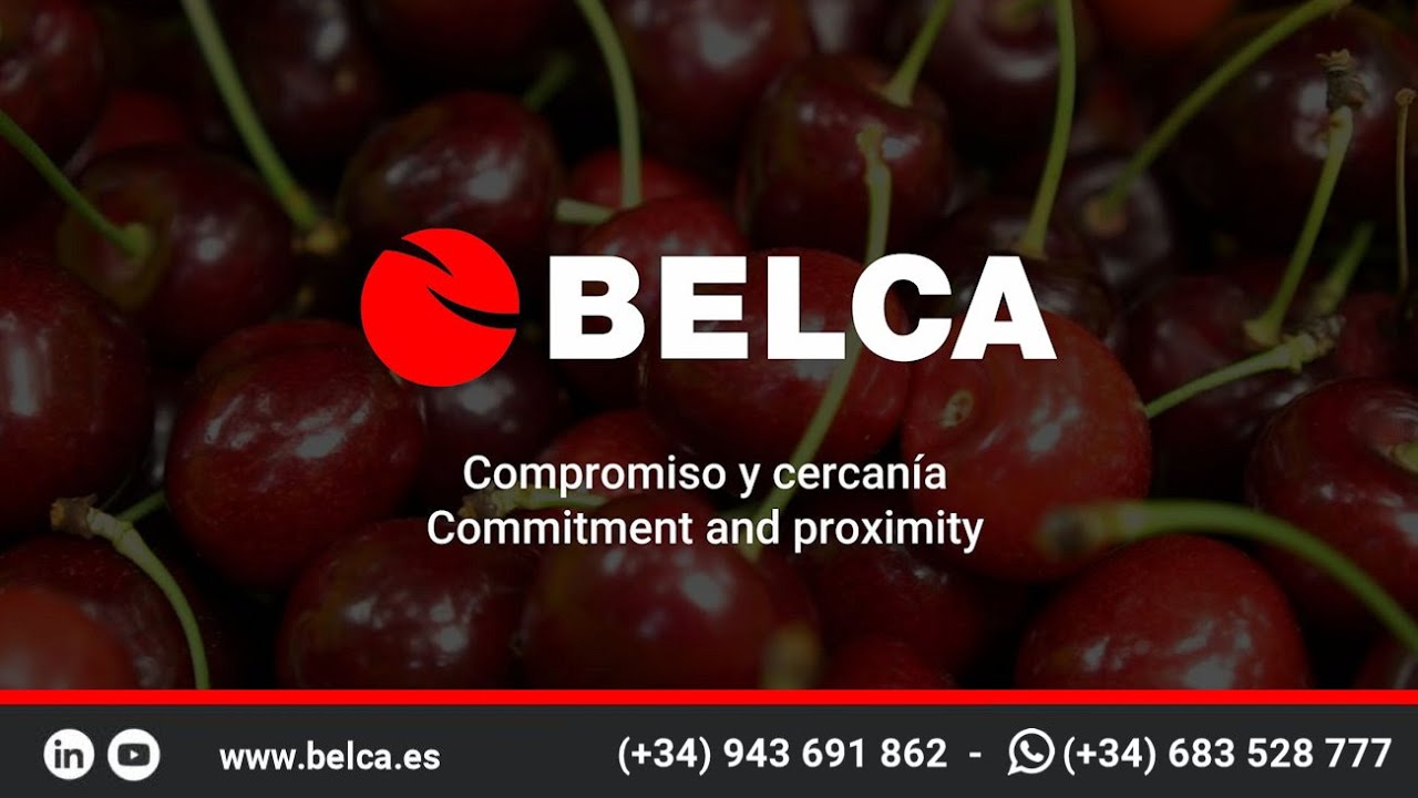 NOVEDADES - BELCA
